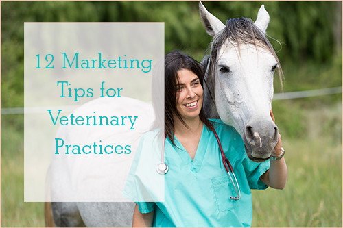 Veterinary Marketing Tips - 12 Tips for Practices - Full Gallop ...